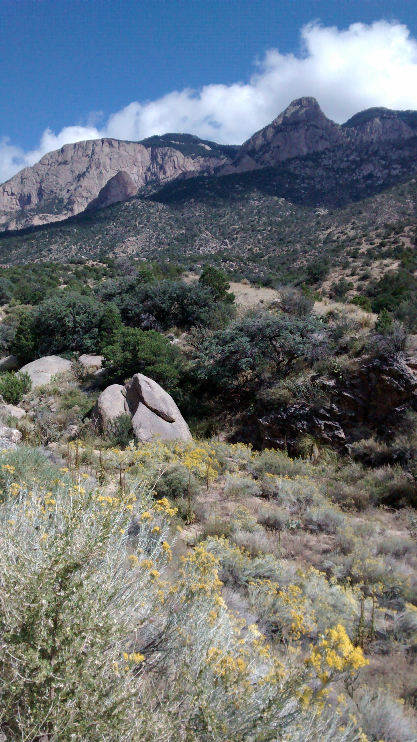 Planning for a Healthy Legacy | Bike Yogi