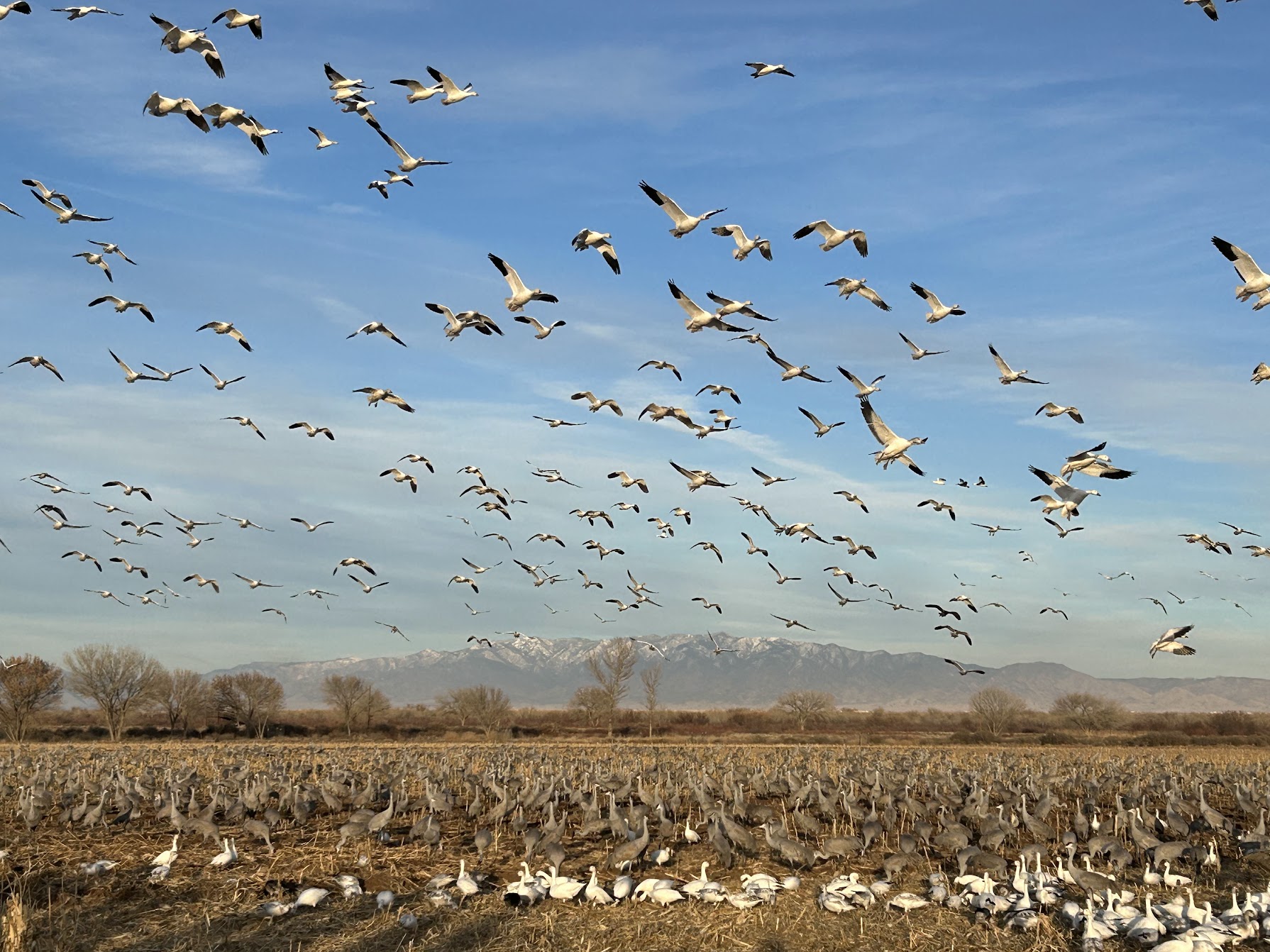 Nature’s Big Energy | Bike Yogi